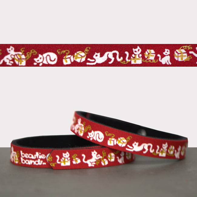 Beastie Band - Cats & Presents – The Cat Connection