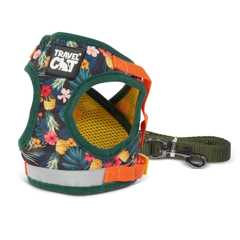 Adventurer Travel Cat Harness and Leash Set – The Cat Connection
