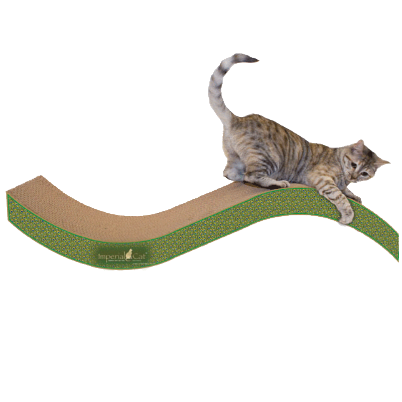Giant Purr-fect Stretch Cardboard Cat Scratcher - Peacock – The Cat ...