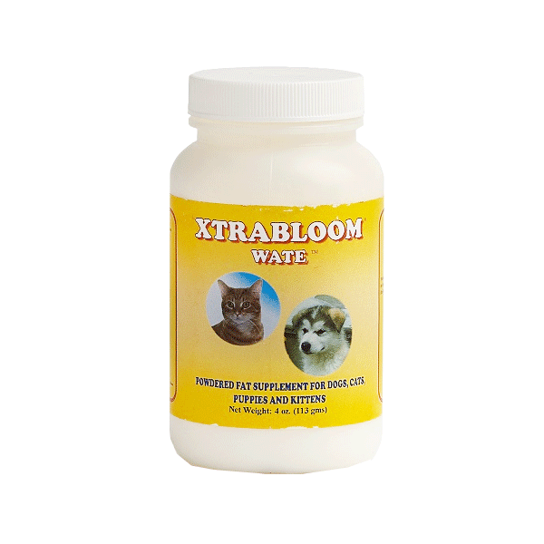 Kitty Bloom Xtrabloom Wate – The Cat Connection