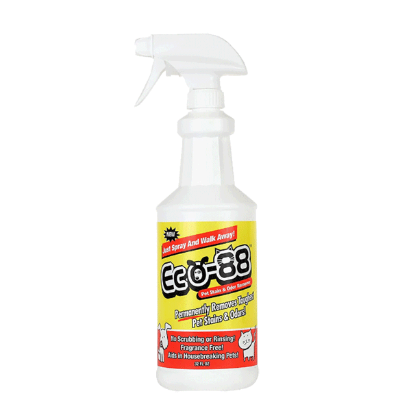 Eco-88 Stain and Odor Remover – The Cat Connection